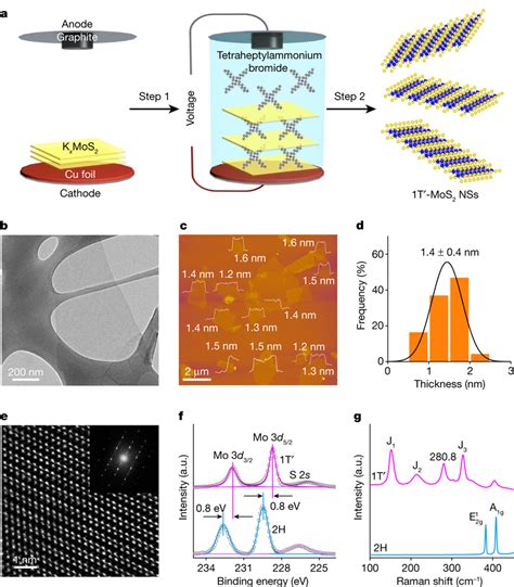 Preparation And Characterization Of Exfoliated 1t′ Mos2 Nss A
