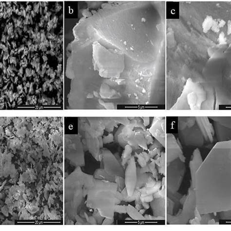Representative Sem Image Of The Copper Borate Cub13 At 90 C Cu B 2 O Download Scientific
