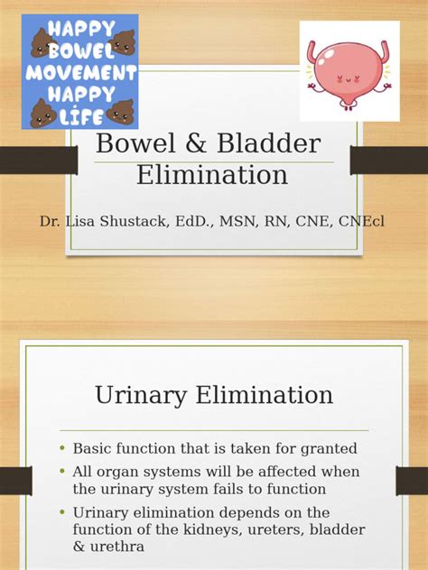 Bowel And Bladder Elimination Pdf Urinary Incontinence Urination