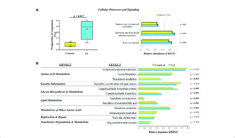 Kegg Pathways And Functional Annotation Analysis Of Gut Download Scientific Diagram