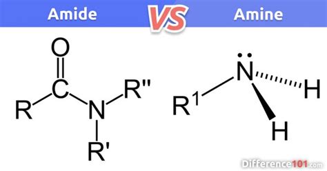 Amines And Amides Chemistry