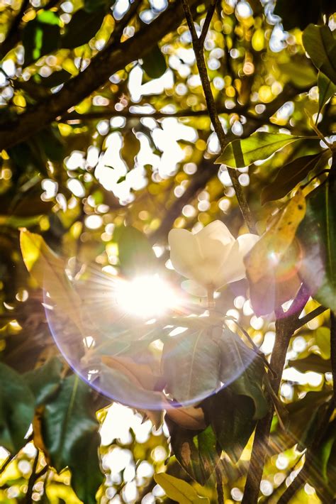 Светодиодная подсветка экрана на ноутбуке как включить