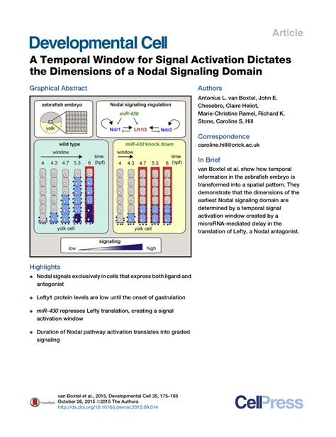 Pdf A Temporal Window For Signal Activation Dictates The Dimensions Of A Nodal Signaling Domain