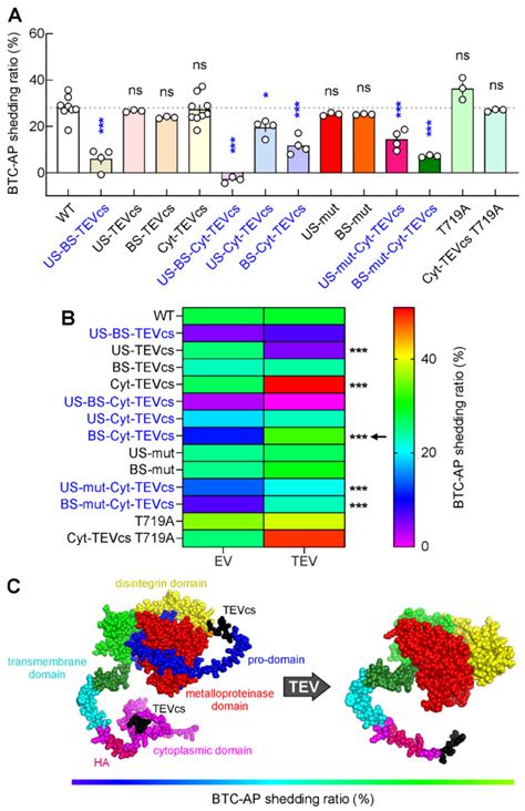 A Bioengineering Strategy To Control Adam10 Activity In Living Cells Pmc