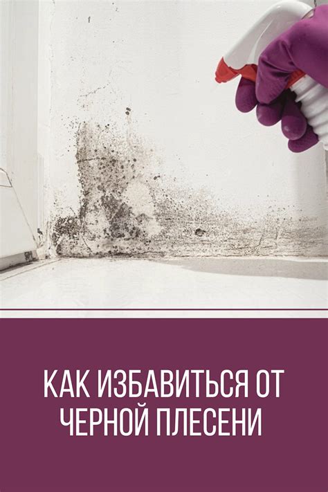 Как избавиться от черной плесени полная инструкция Убрать плесень