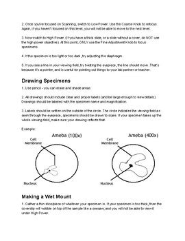 Using A Microscope Worksheet By Flora By Forsyth TPT