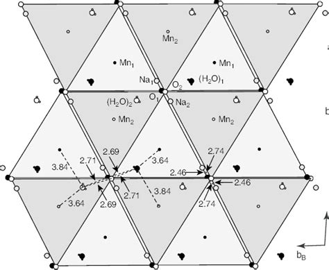 Schematic Location Of Interlayer Na And H 2 O Sites With Respect To