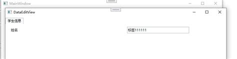 Wpf Mvvm模式实现datagrid编辑wpf Datagrid Mvvm Csdn博客