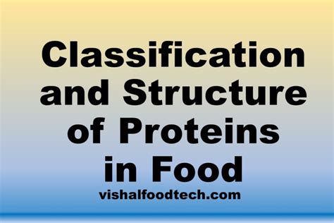 Classification And Structure Of Protein In Food Archives Vishalfoodtech