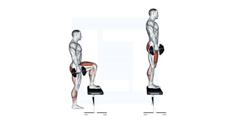 Barbell Step Up Barbell Step Up Youtube
