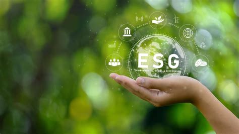 Esg的定義 綠色浪潮下的驚碳號！如何打造由內而外的綠色文化