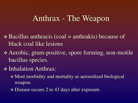 Ppt Terror Is Real Powerpoint Presentation Free Download Id6112549