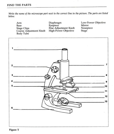 Microscope Parts And Use Worksheet