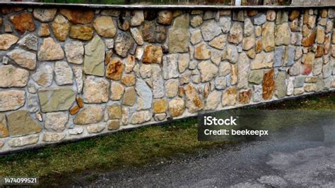 격자와 장미가있는 옹벽과 테라스 옥상 정원에 회양목의 직사각형 손질 울타리 이탈리아 정원의 뒤뜰 사이드 위 석공 채석장 채석장 콘크리트 0명에 대한 스톡 사진 및 기타