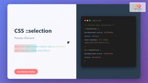 Css Universal Selector Complete Guide To Selecting All Elements With