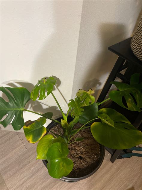 Hi There Im Looking For Some Simple Visual Ways To Depict The Functional Allocation With