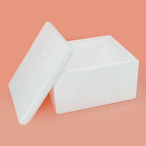 Foam Cooler Box Foam Box Styrofoam Box Carton Protective Foam Packaging