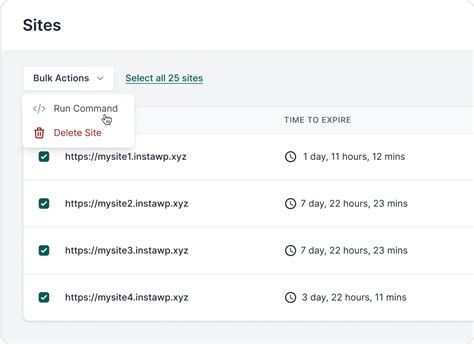 Wordpress Cli Commands Instawp