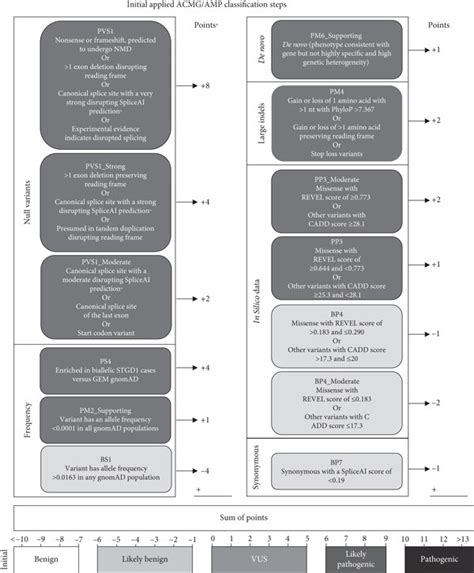 Applied Acmgamp Classification Steps Incorporating Clingen Download Scientific Diagram