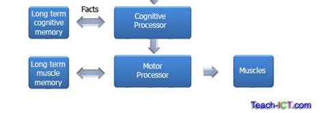 Teach Ict Ocr A2 Ict G063 Syllabus Model Human Processor Mhp Motor