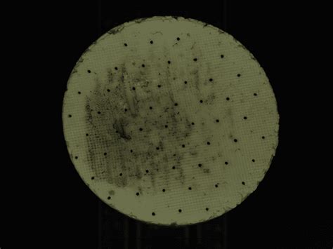 Foreign Object Detecting Detect Foreign Objects In Food Products