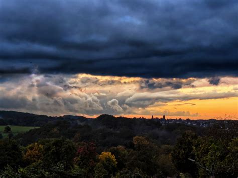 Tcp Art Tumblr Blog Tumgik