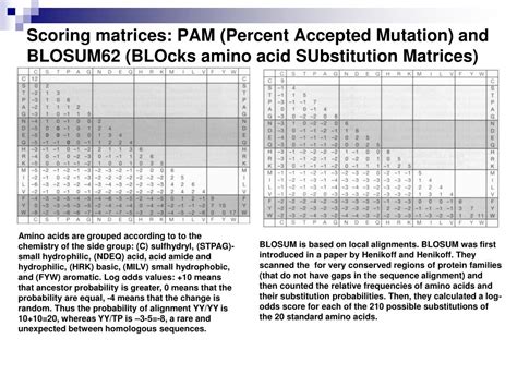 Ppt Sequence Alignment Powerpoint Presentation Free Download Id751230