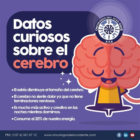 Aprende Datos Curiosos Sobre El S Image To U