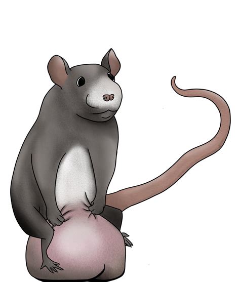 You All Asked For My Drawing To Have Bigger Balls I Present You With Bigger Balls R RATS