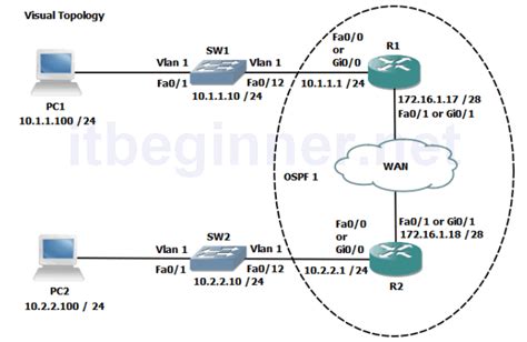 Lab 4 3 Implementing Ospf