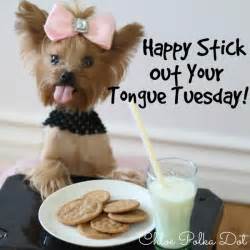 Funny Happy Tuesday Quotes And Images At Christopher Doyle Blog