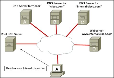 8 3 3 Ip Addressing Services Quiz Answers