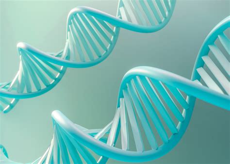 Genes The Influence Of Our Inheritable Traits