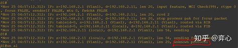 网络工程师的python之路 Scapy基础篇 知乎