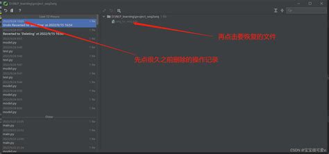pycharm找回误删的代码文件超简单 pycharm删除的文件如何恢复 CSDN博客