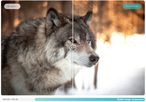 Lossy Compression Vs Lossless Compression Explained