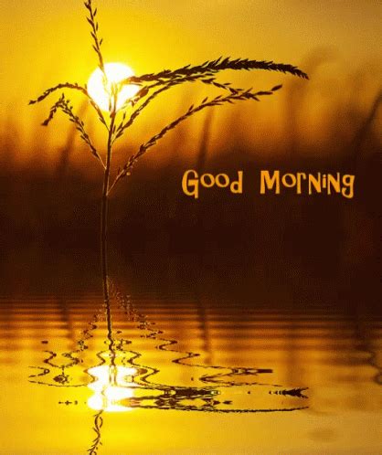 Good Morning Sunrise Water Ripple  Good Morning Sunshine 