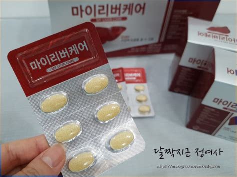 피로회복 숙취해소 간영양제 밀크시슬 마이리버케어 네이버 블로그