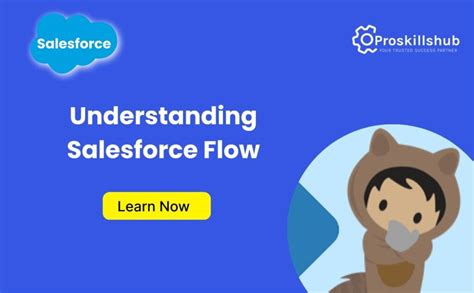 Understanding Salesforce Flows Proskillshub