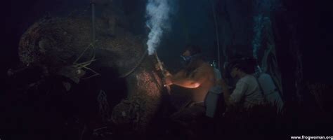 Frogwoman Org Female Scuba Divers In Action Including Scuba Fights Scuba Peril Drowning