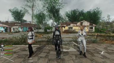 Haru S Tri Fem Comp UI For Companion Status UI Remastered At Fallout 4 Nexus Mods And Community