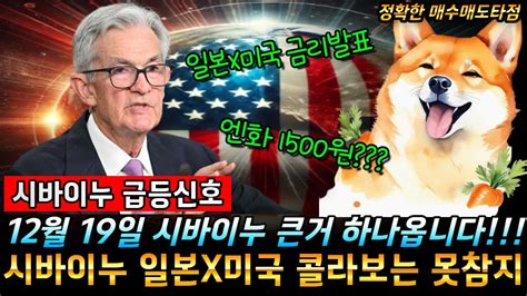 시바이누 코인 연준의장 12월19일 일본과 함께 금리발표 시바이누 폭등가자시바이누코인 Youtube