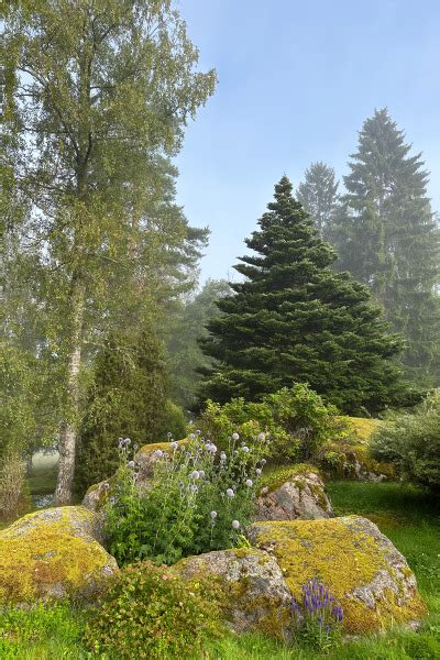 Walk With Me Through The Garden Värmland Sweden Tumbex