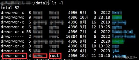 解决：vscode和jupyter远程连接无法创建、删除文件的问题（permission Denied）jupyter删除文件出错