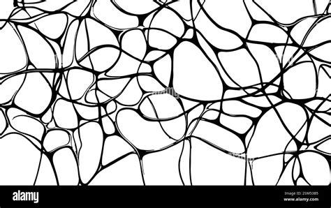 Abstract Web Pattern Background Interconnected Lines Form Organic Shapes Design Element