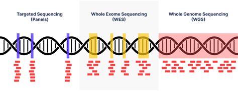Panels WES Or WGS Which Is Best For Rare Disease Diagnosis