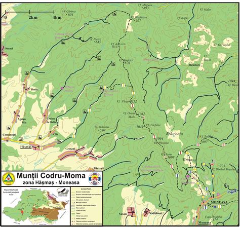 Munții Codru Moma Vârful Pleșu ~ Jurnal De Drumeții