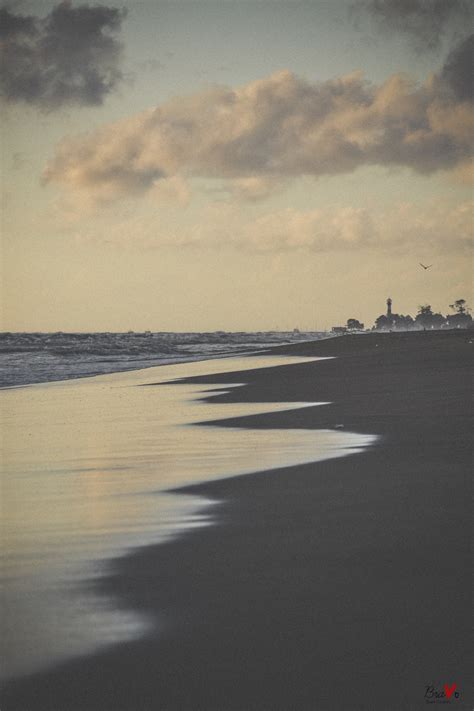 ⚓🛳️ ივენთ კომპანია ბრავო