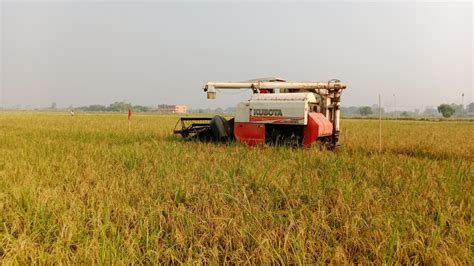 တွံတေးမြို့နယ်၌ တိုက်ရိုက်မျိုးစေ့ချကိရိယာ Seeder ဖြင့် စိုက်ပျိုးထားရှိသည့် နွေစပါးစံပြကွက