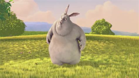 Allwinner Vpu Support In Mainline Linux Status Update Week 22 Bootlin